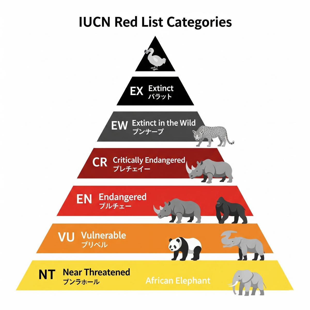 ぽうぽうぽうず | 絶滅危惧種一覧｜世界と日本で今絶滅しそうな動物たち【2025年最新版】
